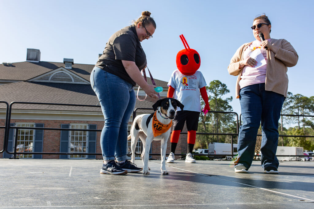 Pet Parade